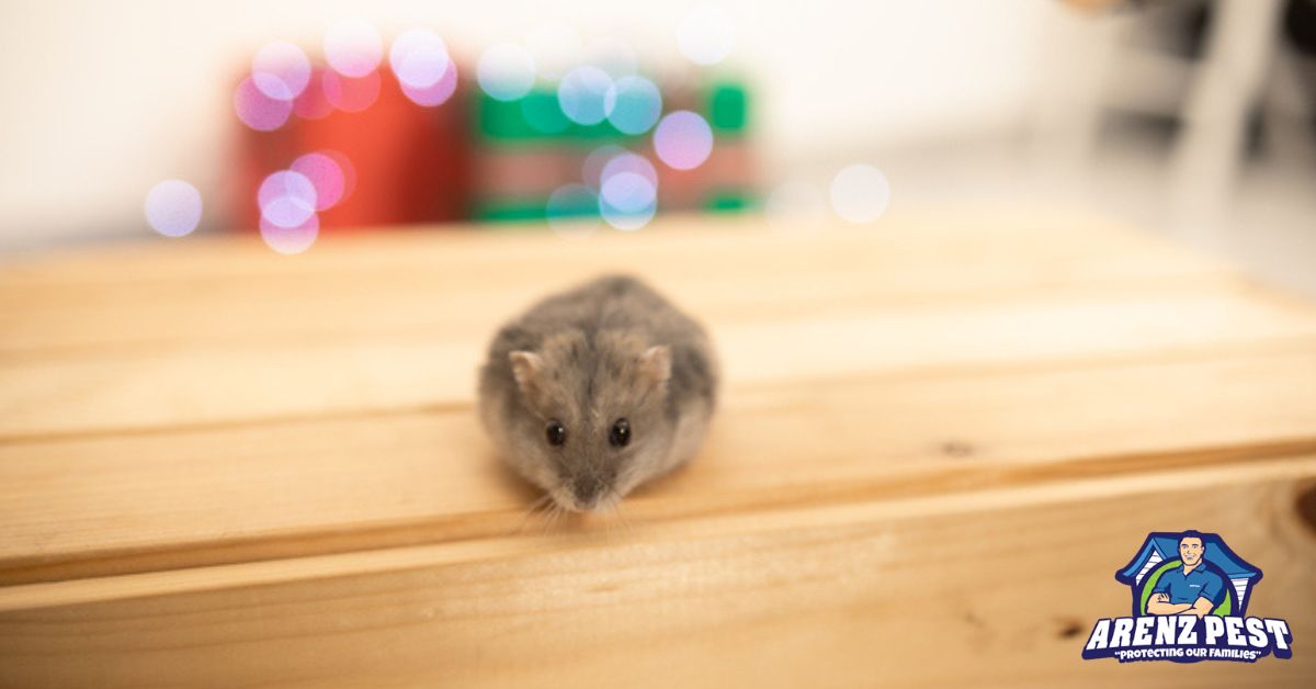 5 Ways to Pest-Proof Your Holiday Season